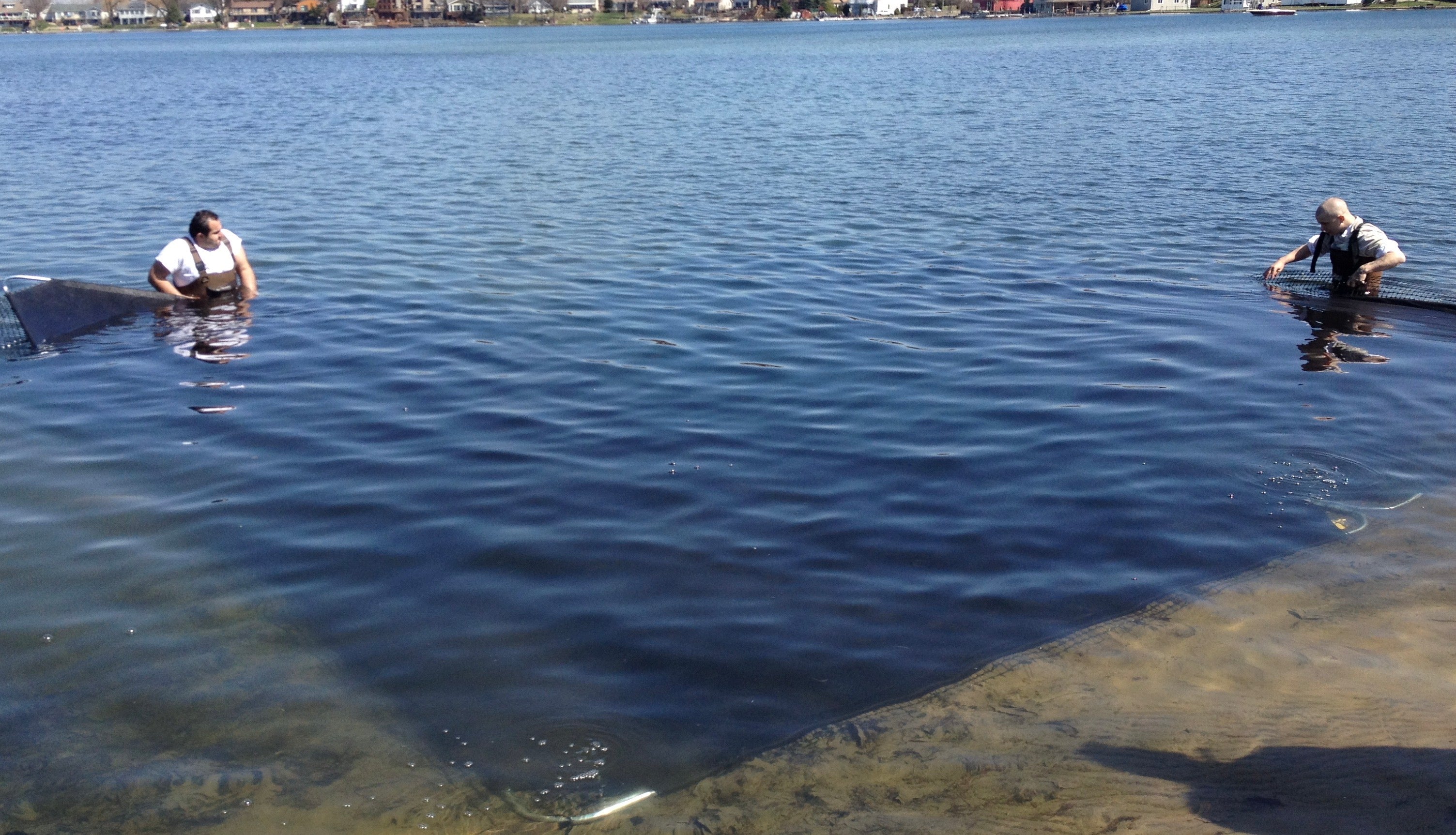 What size LakeMat Pro do you need? When smaller is better. – Lake and ...